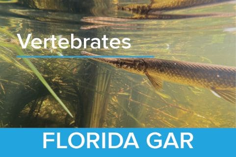 Explorer Series | Ocean First Institute